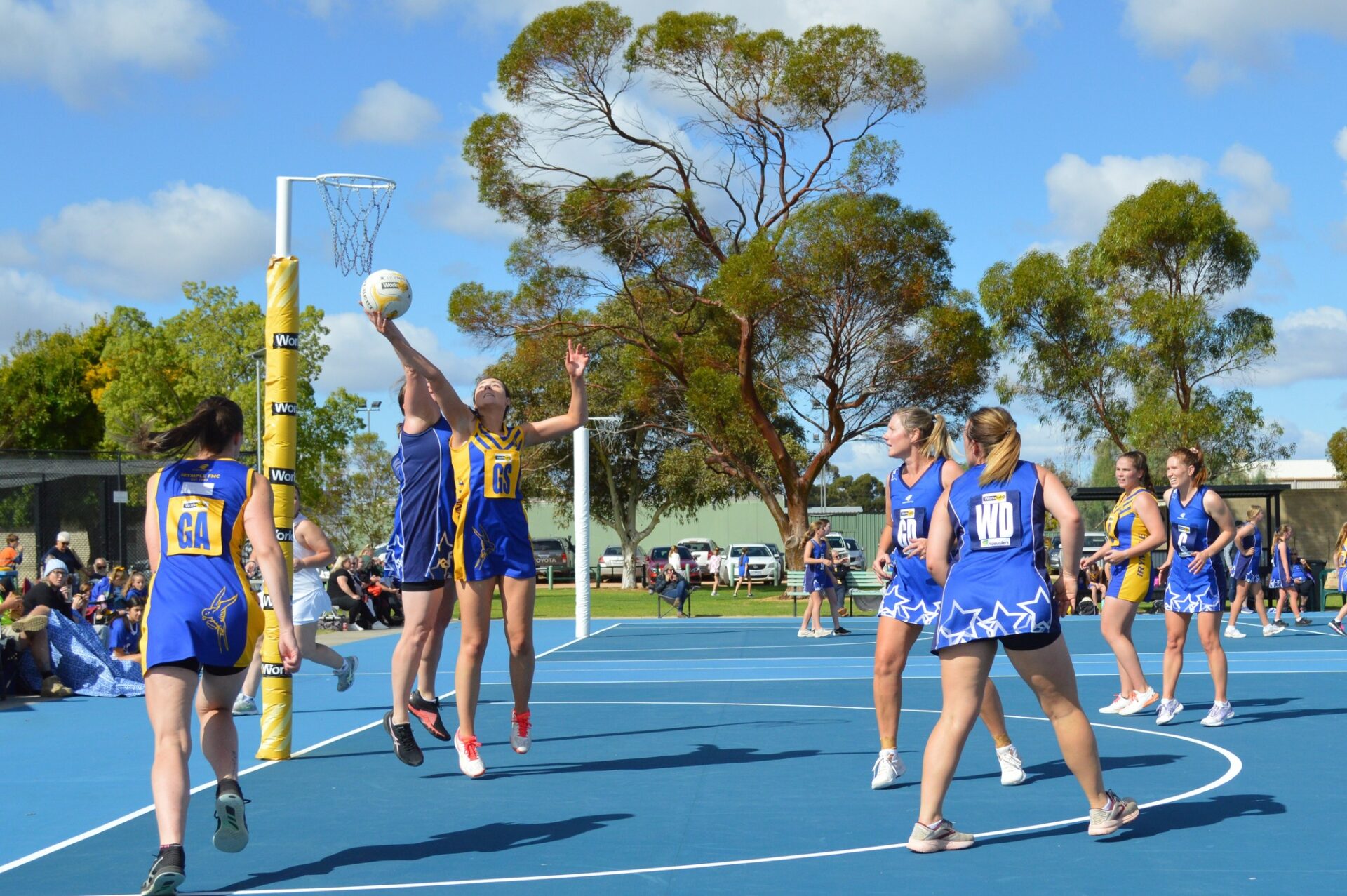 Memberships - Irymple Football Netball Club